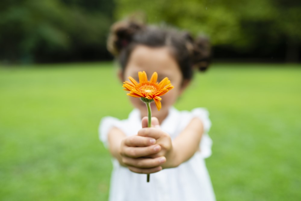 What Are You Truly Grateful For? – Beyond Adequate What Are You Truly Grateful For? – Beyond Adequate